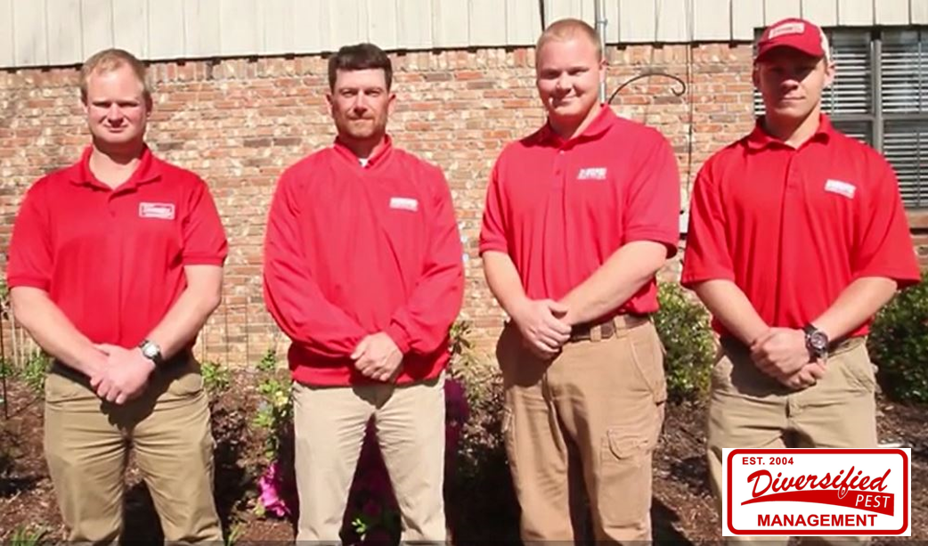 Residential and Commercial Pest Control - Diversified Pest