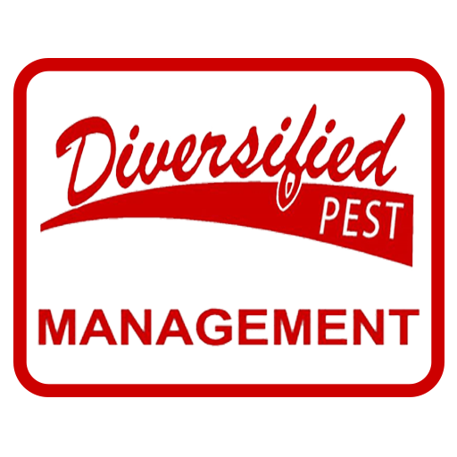 Contact Us - Diversified Pest